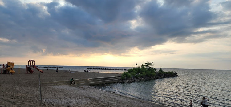 Top Beaches for Shelling in Ohio 2024: Hidden Coastal Gems Revealed ...