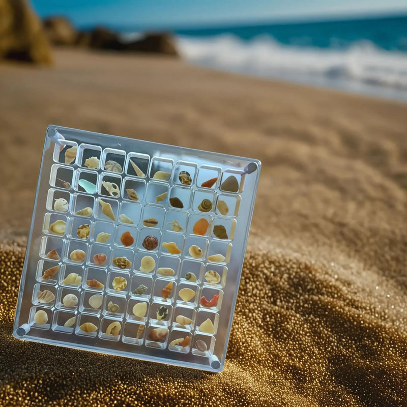 FinGlass Acrylic Seashell Display Case
