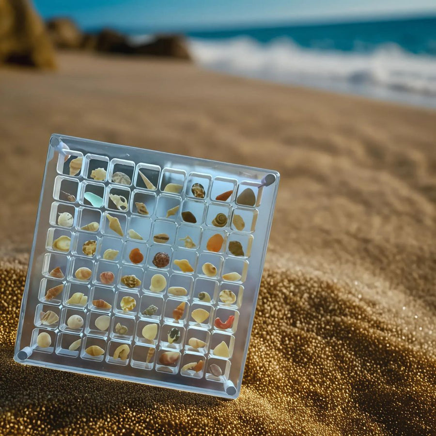 FinGlass Acrylic Seashell Display Case